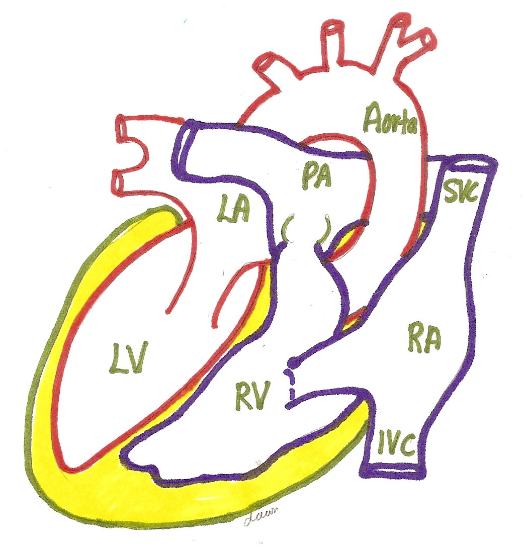 More Instructor Resources | Page 3 | ECG Guru - Instructor Resources More Instructor Resources | Page 3 | ECG Guru - Instructor Resources